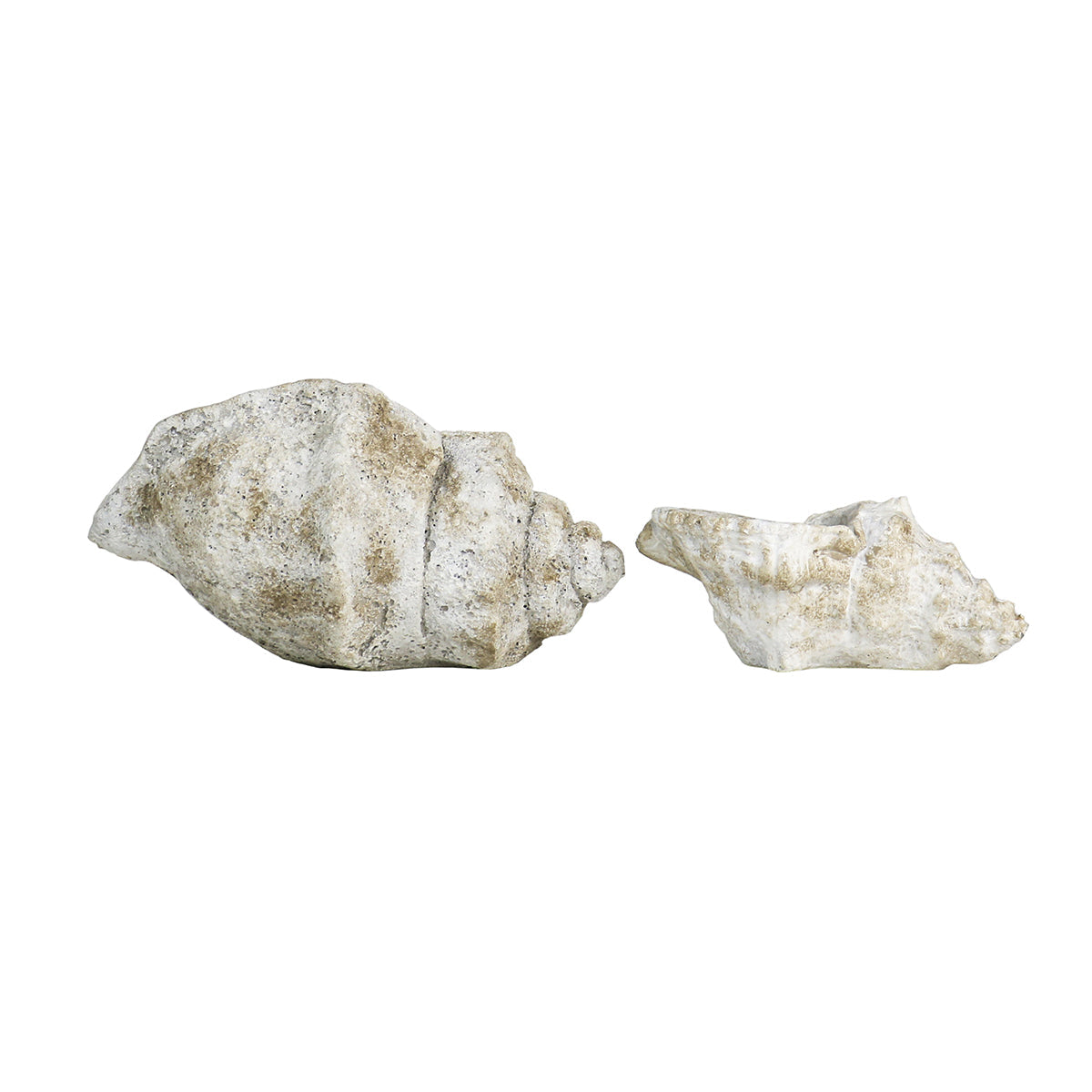 Cast Concrete Conch Shell Planter | 2 Sizes – Rust & Cinder